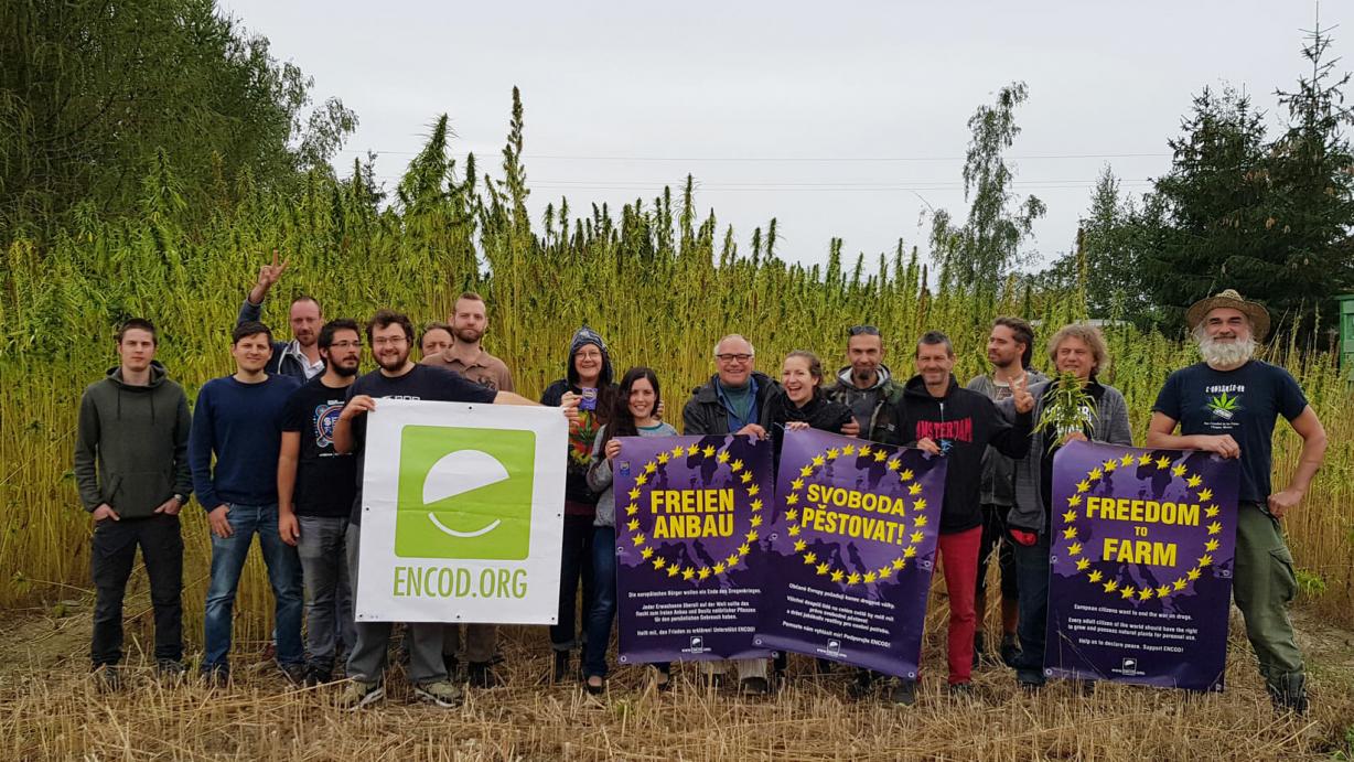 ENCOD General Assembly 2018 Press Release - ENCOD