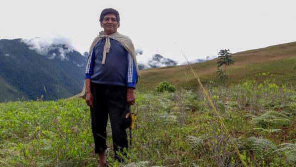 ENCOD - The European Coalition for Just and Effective Drug Policies